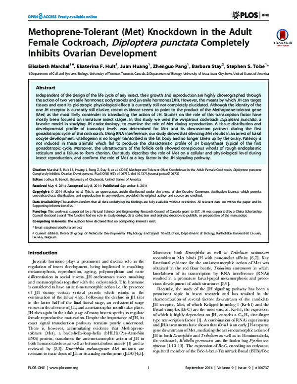 (PDF) Methoprene-tolerant (Met) knockdown in the adult female cockroach ...