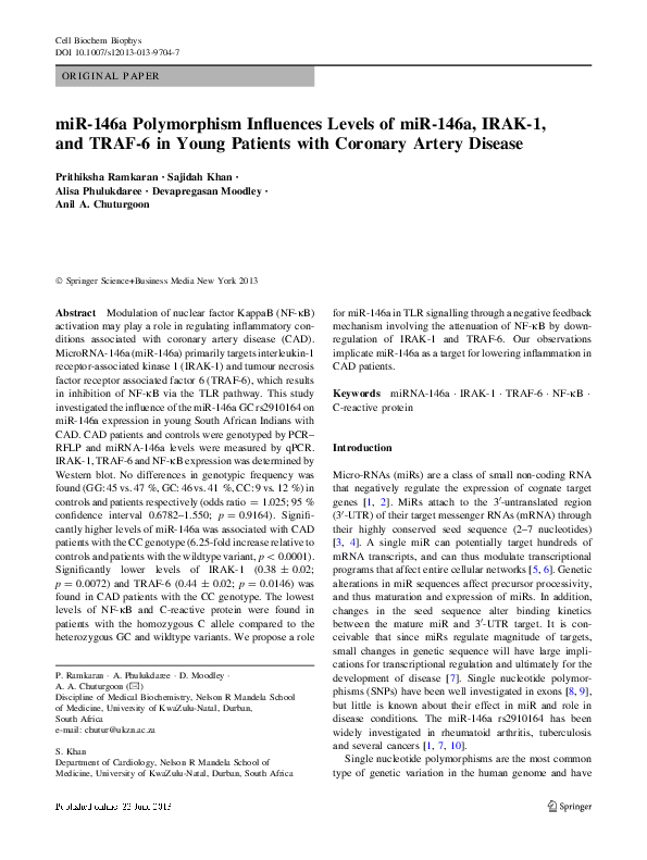(PDF) miR-146a Polymorphism Influences Levels of miR-146a, IRAK-1, and TRAF-6 in Young Patients ...