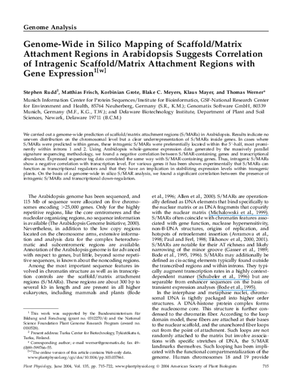 (PDF) Genome-Wide in Silico Mapping of Scaffold/Matrix Attachment ...