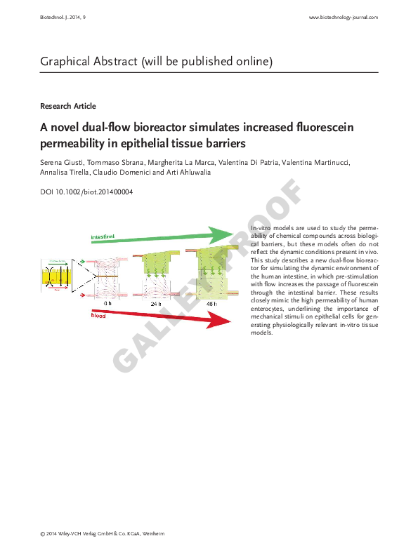 (PDF) A novel dual-flow bioreactor simulates increased fluorescein ...