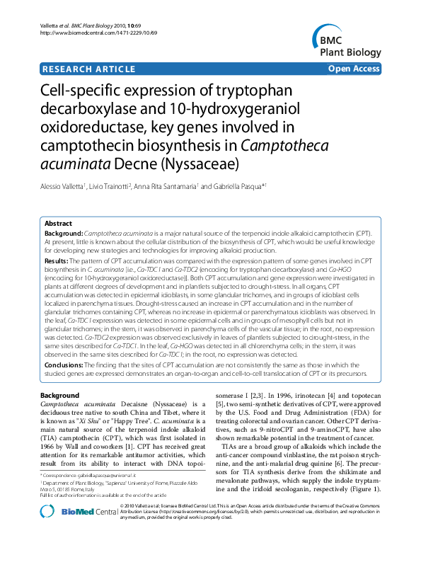 (PDF) Cellular localisation of the anti-cancer drug camptothecin in ...