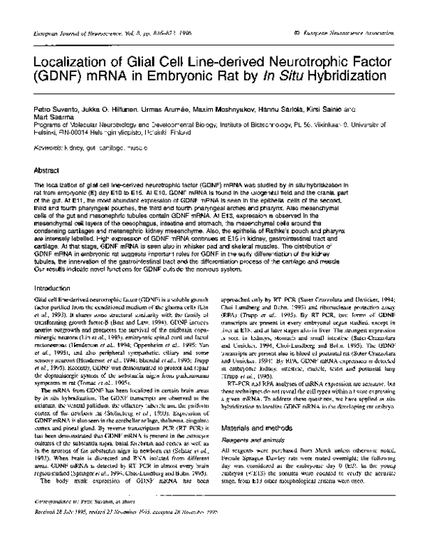 (PDF) Localization of Glial Cell Line-derived Neurotrophic Factor (GDNF) mRNA in Embryonic Rat ...