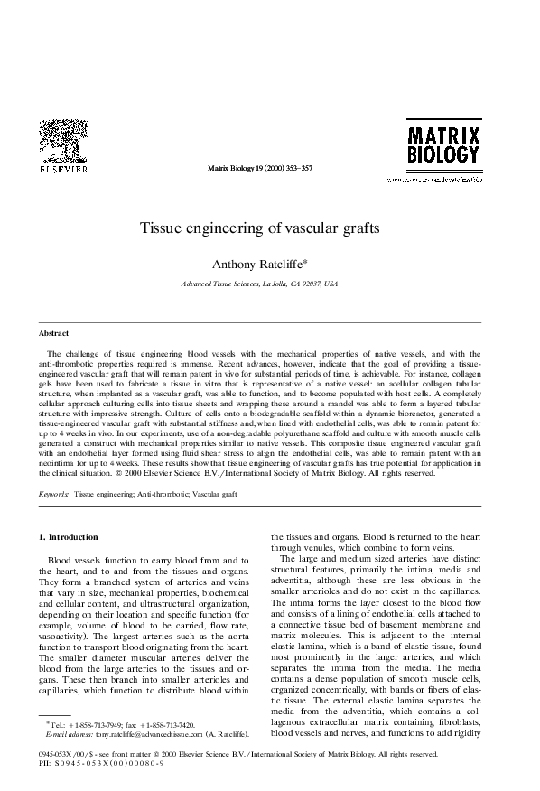 (PDF) Tissue engineering of vascular grafts