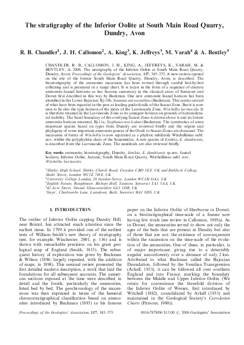 (PDF) The stratigraphy of the Inferior Oolite at South Main Road Quarry ...