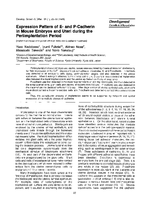 (PDF) Expression Pattern of E- and P-Cadherin in Mouse Embryos and ...