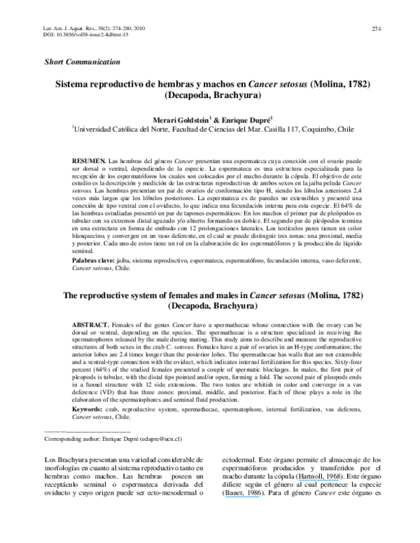 (PDF) Sistema reproductivo de hembras y machos en Cancer setosus ...