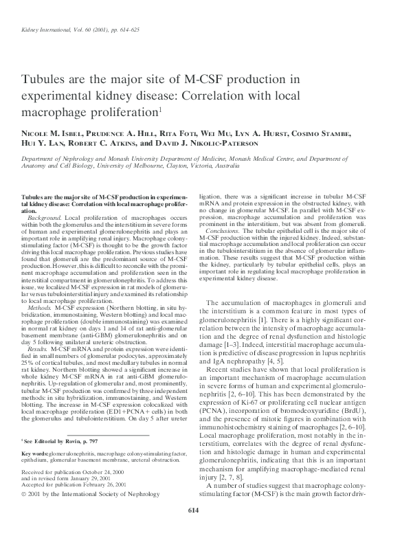 (PDF) Tubules are the major site of M-CSF production in experimental ...
