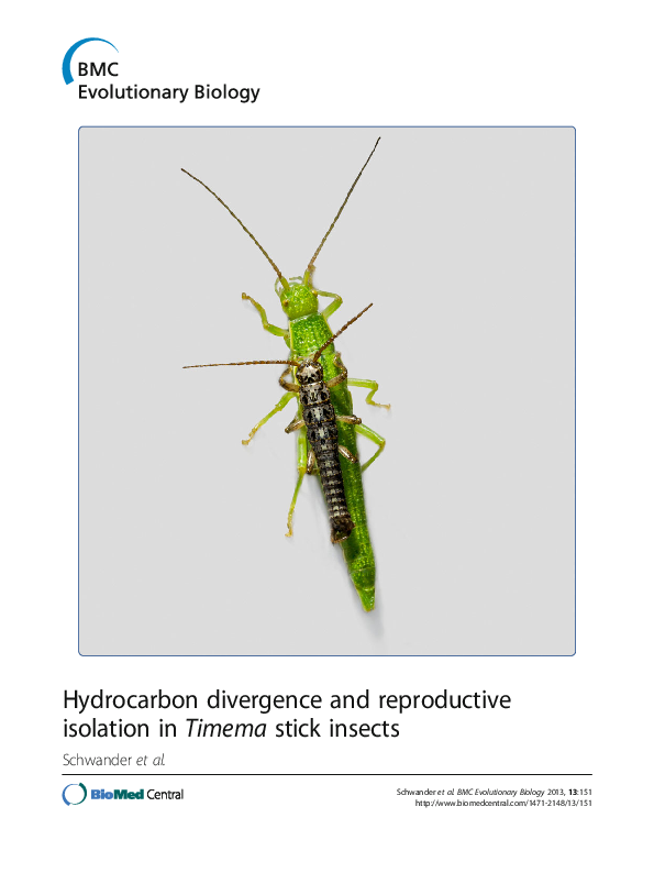 (PDF) Hydrocarbon divergence and reproductive isolation in Timema stick ...