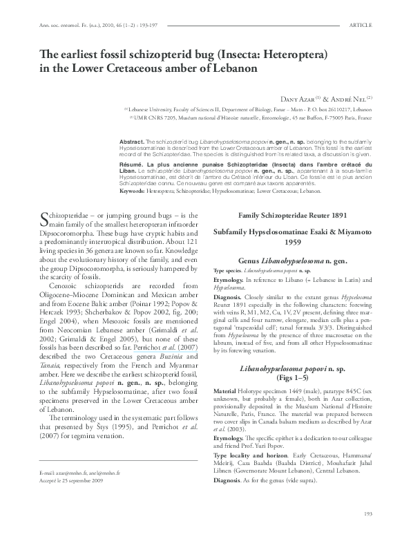 (PDF) The earliest fossil schizopterid bug (Insecta: Heteroptera) in ...