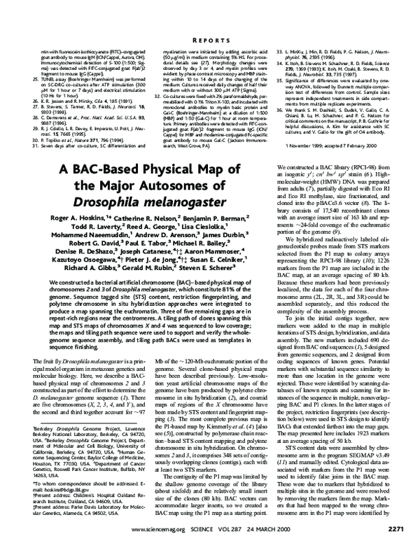 (PDF) A BAC-Based Physical Map of the Major Autosomes of Drosophila ...
