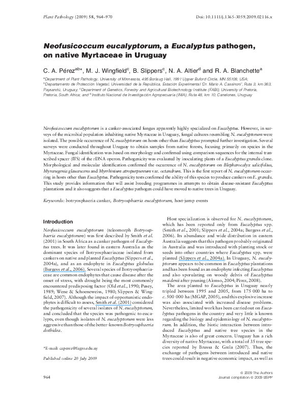 (PDF) Neofusicoccum eucalyptorum , a Eucalyptus pathogen, on native ...