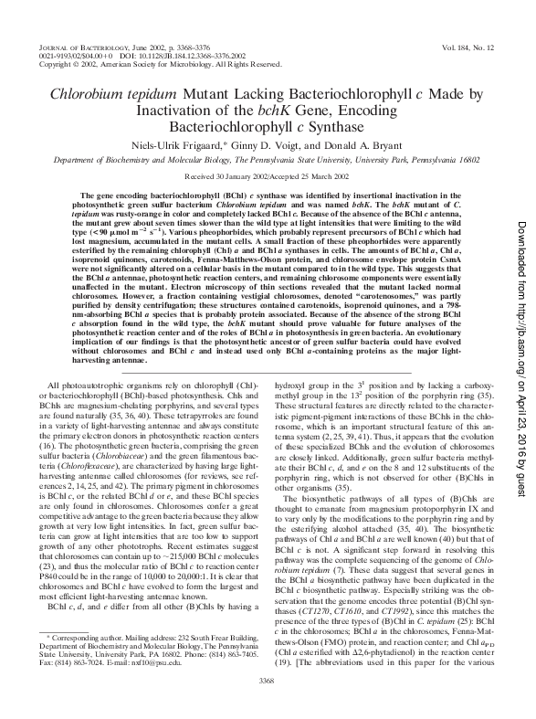 (PDF) Chlorobium tepidum Mutant Lacking Bacteriochlorophyll c Made by ...