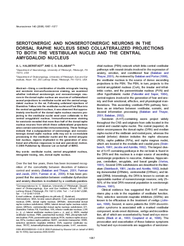 (PDF) Serotonergic and nonserotonergic neurons in the dorsal raphe nucleus send collateralized ...