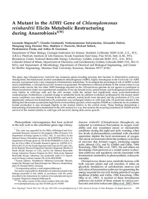 (PDF) A Mutant in the ADH1 Gene of Chlamydomonas reinhardtii Elicits ...