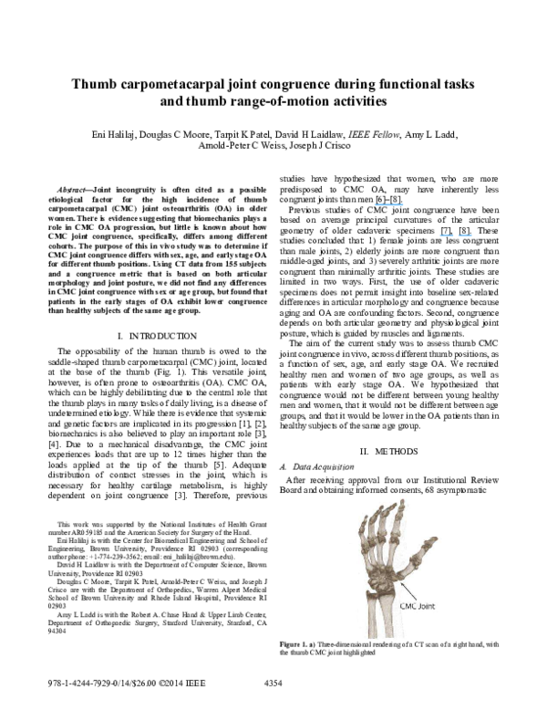 (PDF) Thumb carpometacarpal joint congruence during functional tasks ...