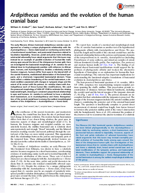 (PDF) Ardipithecus ramidus and the evolution of the human cranial base