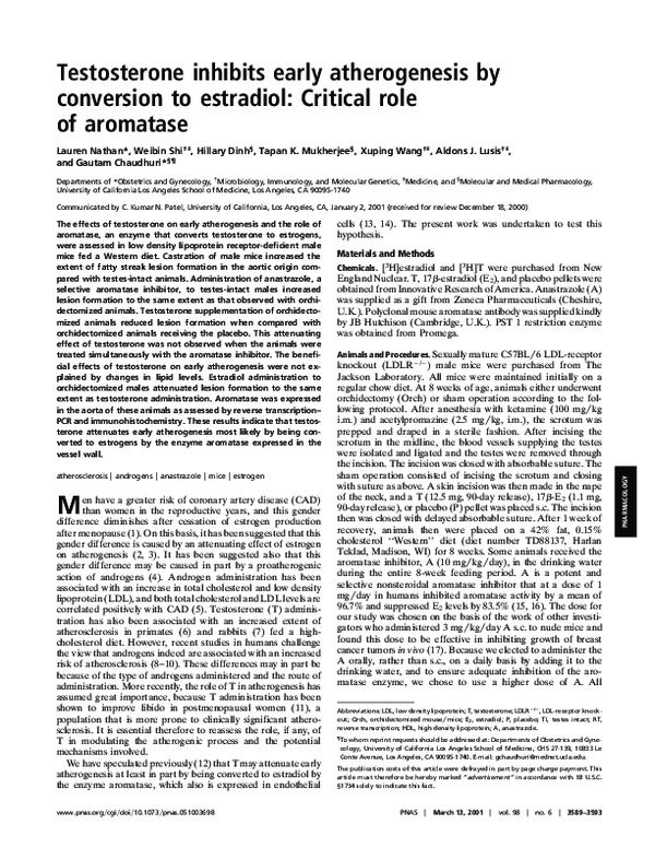 (PDF) Testosterone inhibits early atherogenesis by conversion to ...