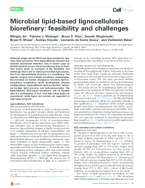 (PDF) Microbial lipid-based lignocellulosic biorefinery: feasibility ...