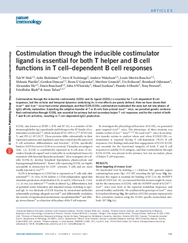 (PDF) Costimulation through the inducible costimulator ligand is ...