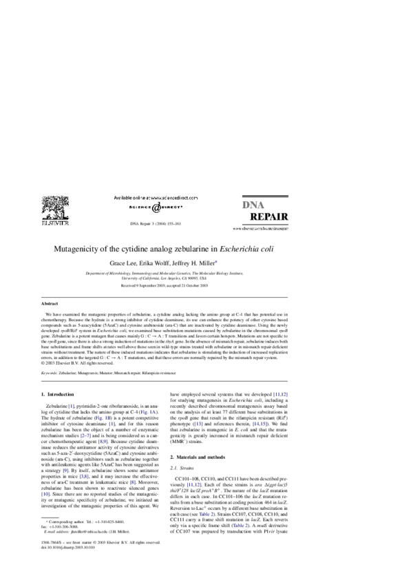 (PDF) Mutagenicity of the cytidine analog zebularine in Escherichia coli