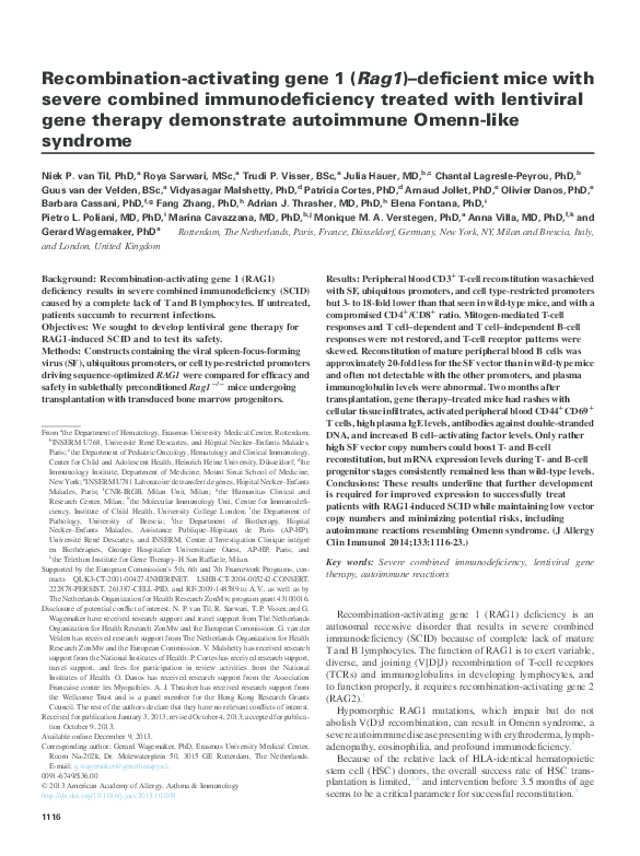 (PDF) Recombination-activating gene 1 (Rag1)–deficient mice with severe ...