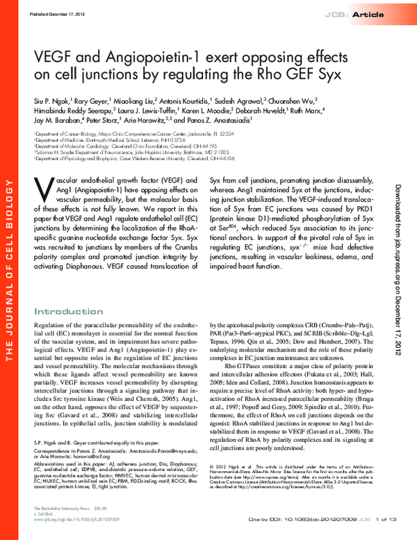 (PDF) VEGF and Angiopoietin-1 exert opposing effects on cell junctions by regulating the Rho GEF Syx