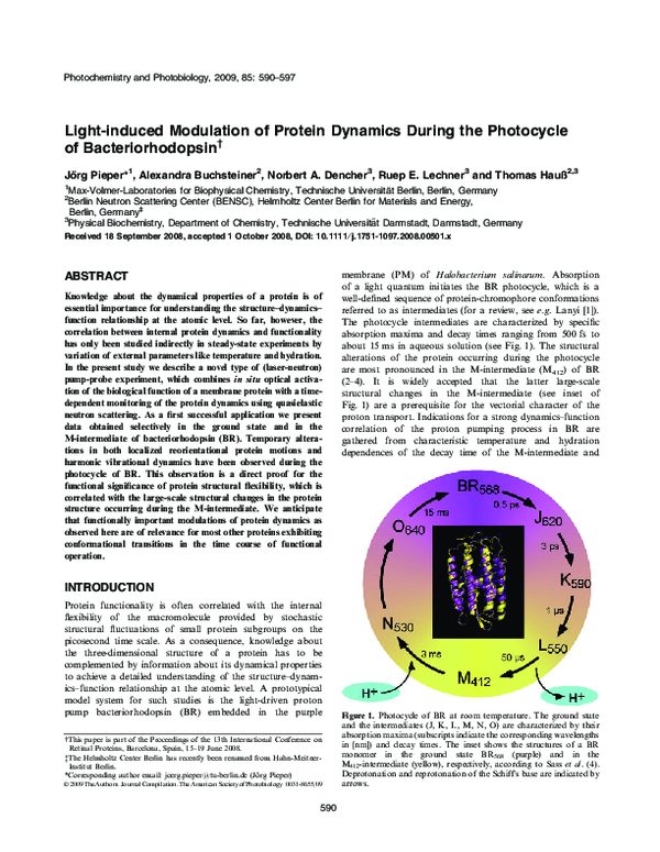 (PDF) Light-induced Modulation of Protein Dynamics During the ...