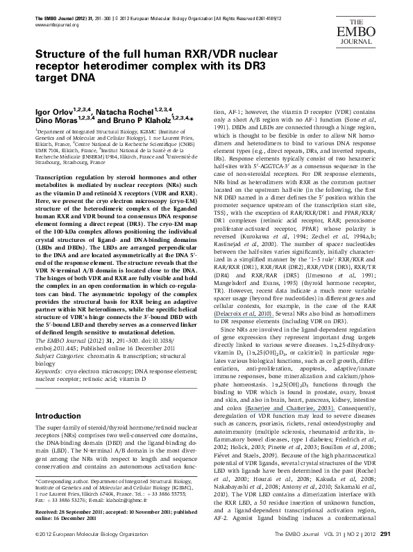 (PDF) Structure of the full human RXR/VDR nuclear receptor heterodimer ...