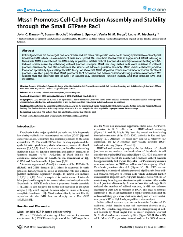 (PDF) Mtss1 promotes cell-cell junction assembly and stability through ...