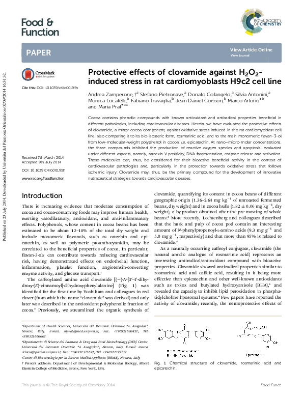 (PDF) Protective effects of clovamide against H 2 O 2 -induced stress ...