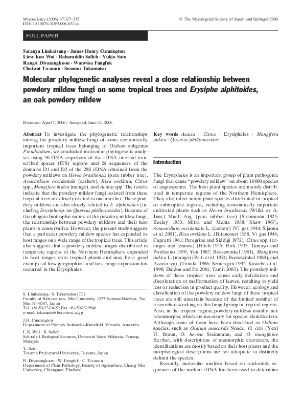 (PDF) Molecular phylogenetic and morphological analyses of Oidium ...