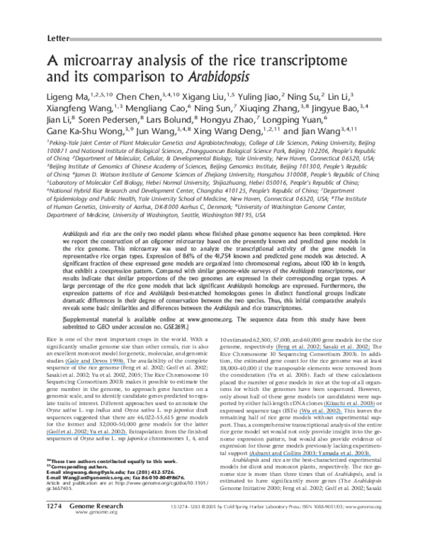 (PDF) A microarray analysis of the rice transcriptome and its ...
