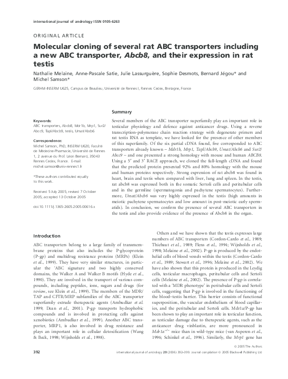 (PDF) Molecular cloning of several rat ABC transporters including a new ...