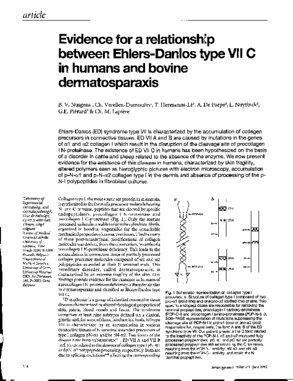 (PDF) Evidence for a relationship between Ehlers-Danlos type VII C in ...