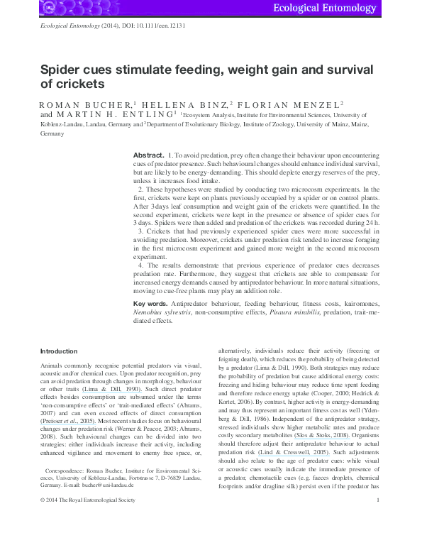 (PDF) Spider cues stimulate feeding, weight gain and survival of crickets