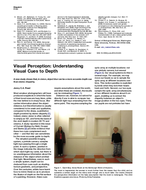 (PDF) Visual Perception: Understanding Visual Cues to Depth