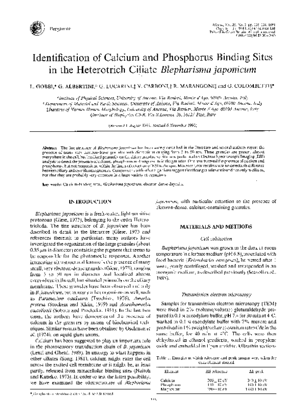 (PDF) Identification of calcium and phosphorus binding sites in the ...