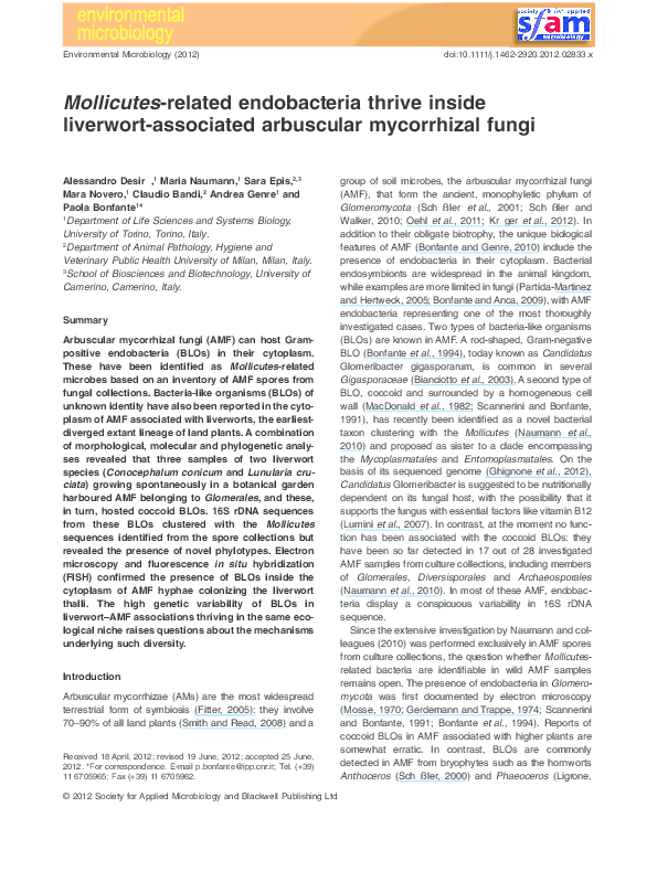 (PDF) Mollicutes -related endobacteria thrive inside liverwort ...
