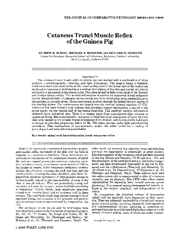 (PDF) Cutaneus trunci muscle reflex of the guinea pig