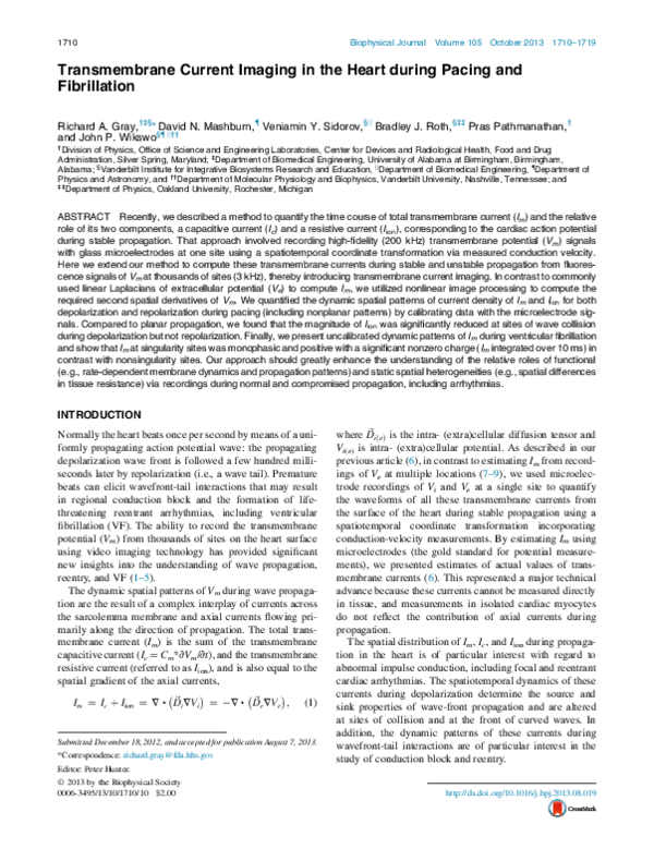 (PDF) Transmembrane Current Imaging in the Heart during Pacing and ...
