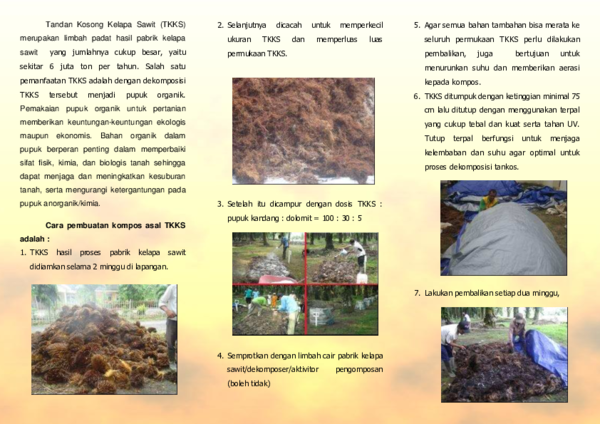 (PDF) Tandan Kosong Kelapa Sawit (TKKS
