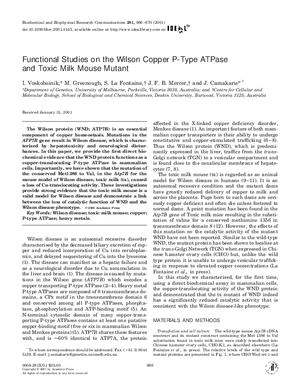 (PDF) Functional Studies on the Wilson Copper P-Type ATPase and Toxic ...