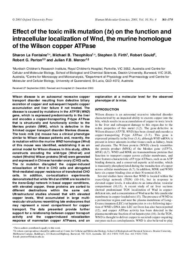 (PDF) Effect of the toxic milk mutation (tx) on the function and ...