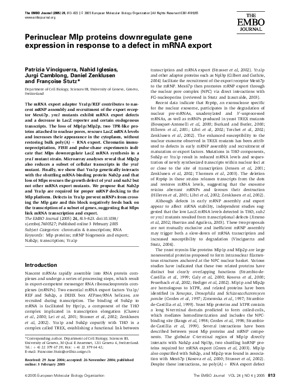 (PDF) Perinuclear Mlp proteins downregulate gene expression in response ...