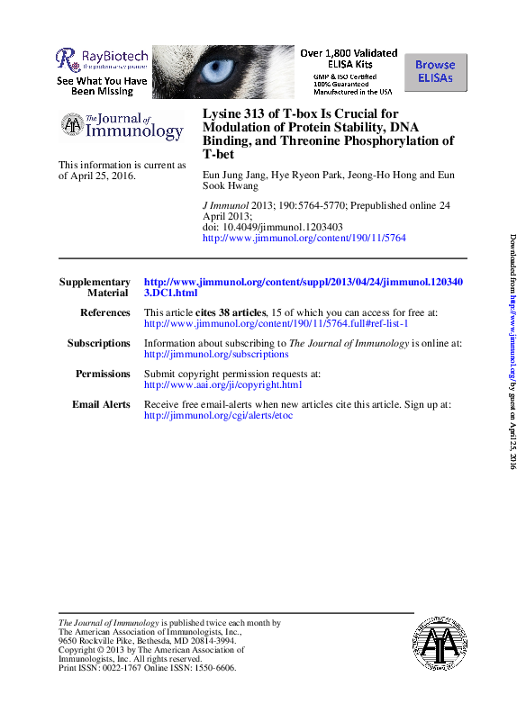 (PDF) Lysine 313 of T-box Is Crucial for Modulation of Protein ...