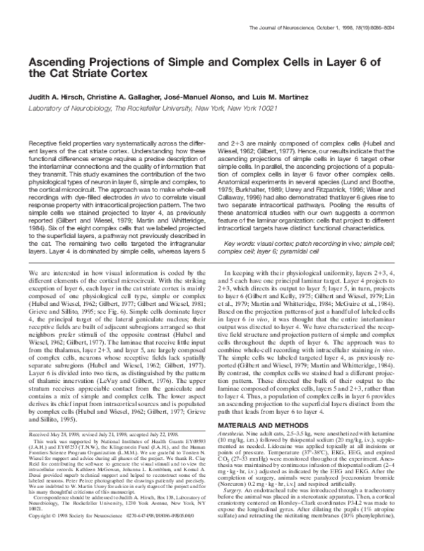 (PDF) Ascending projections of simple and complex cells in layer 6 of ...