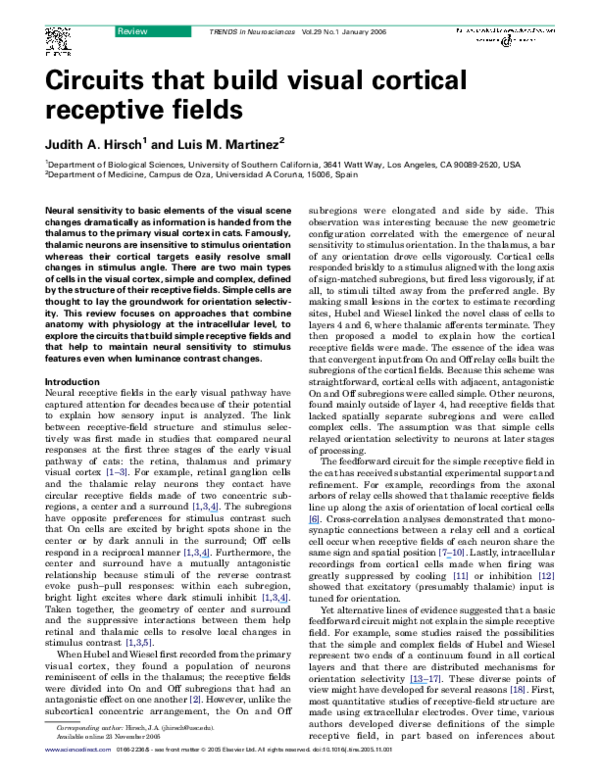 (PDF) Circuits that build visual cortical receptive fields