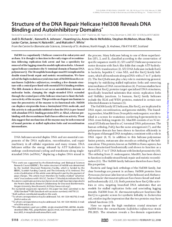 (PDF) Structure of the DNA Repair Helicase Hel308 Reveals DNA Binding ...