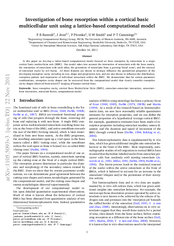 (PDF) Lattice Model of Osteoclast-Mediated Bone Resorption