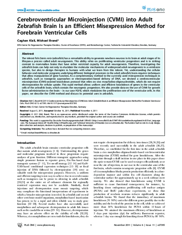 (PDF) Cerebroventricular Microinjection (CVMI) into Adult Zebrafish Brain Is an Efficient ...
